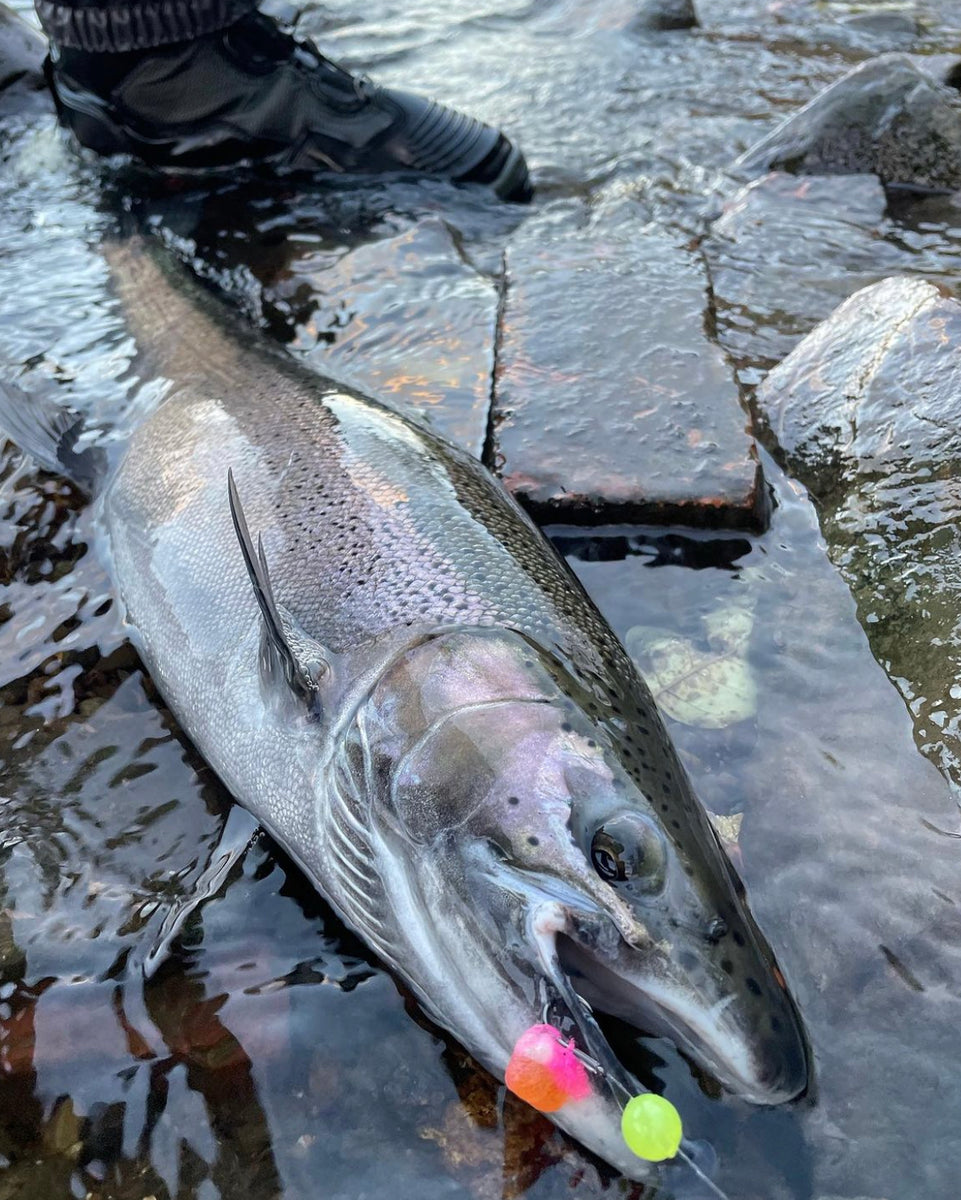 Raven Fusion XL – First Light Fishing co.