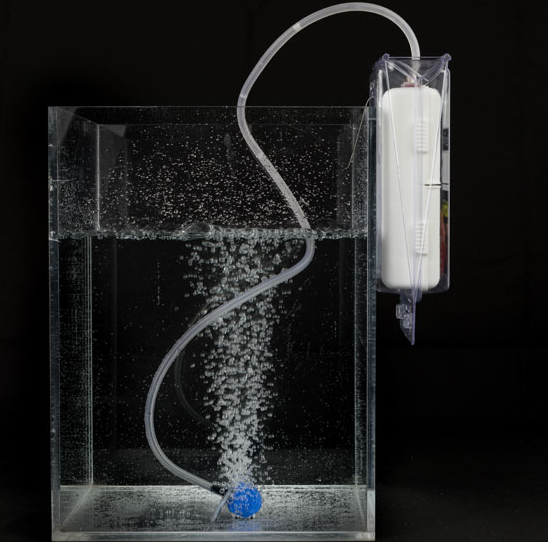 Bubble Box Portable Air Pump – First Light Fishing co.