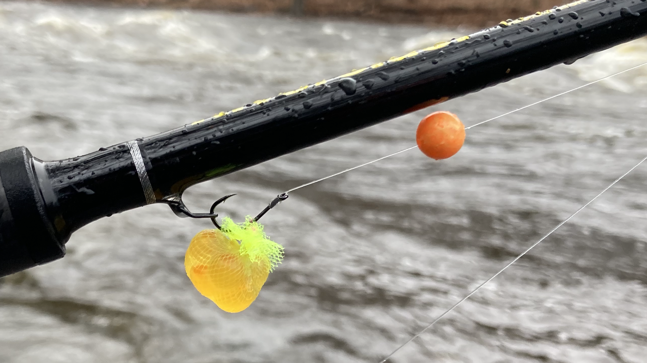 TroutBeads Peggz TB Bead Pegs – First Light Fishing co.